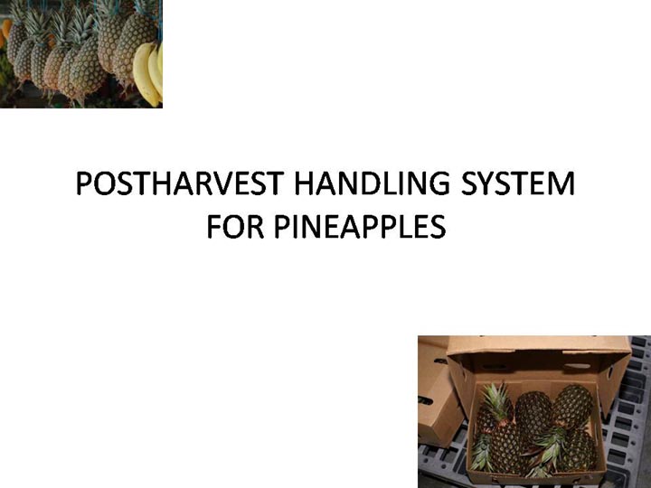 Postharvest Quality